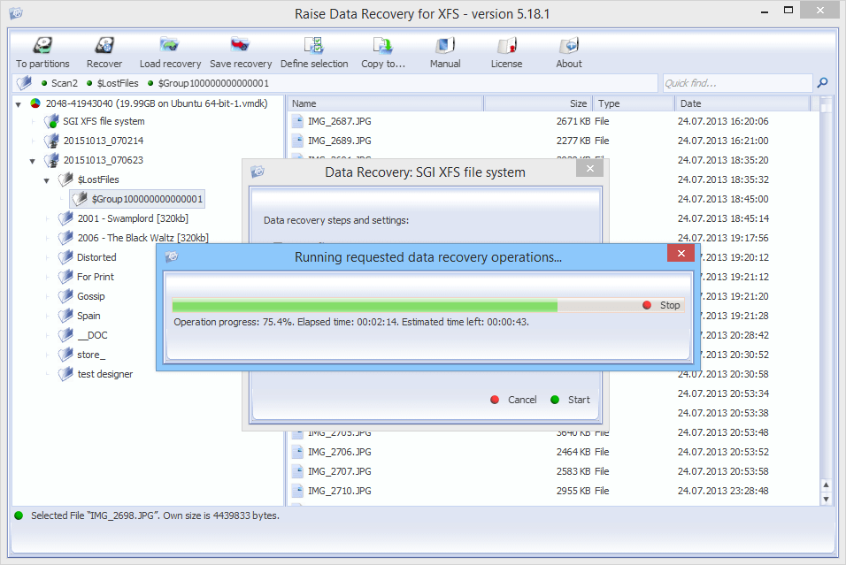 Raise Data Recovery for XFS (para Windows) v. 5