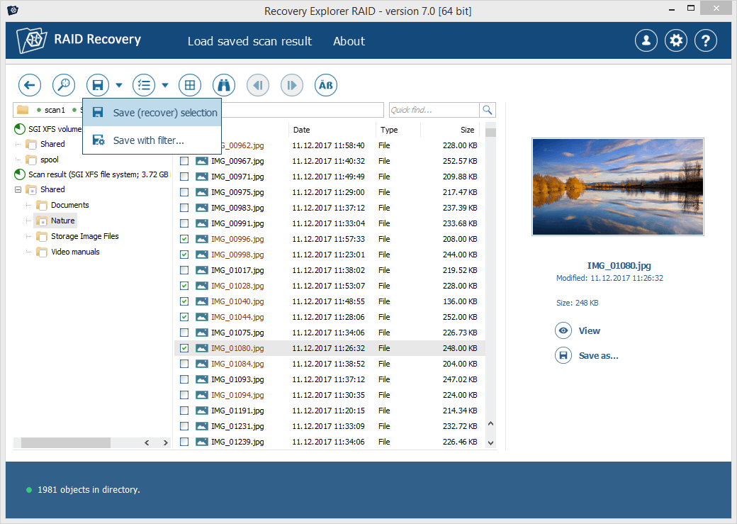 Recovery Explorer RAID for Windows v. 9